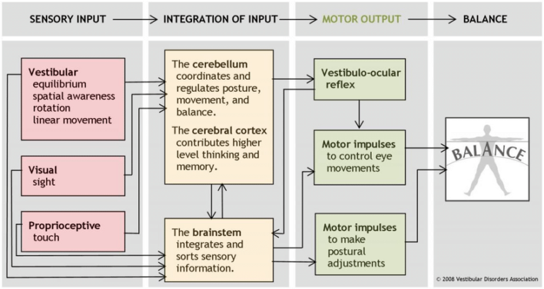 Vestibular Problems | Neuphysio